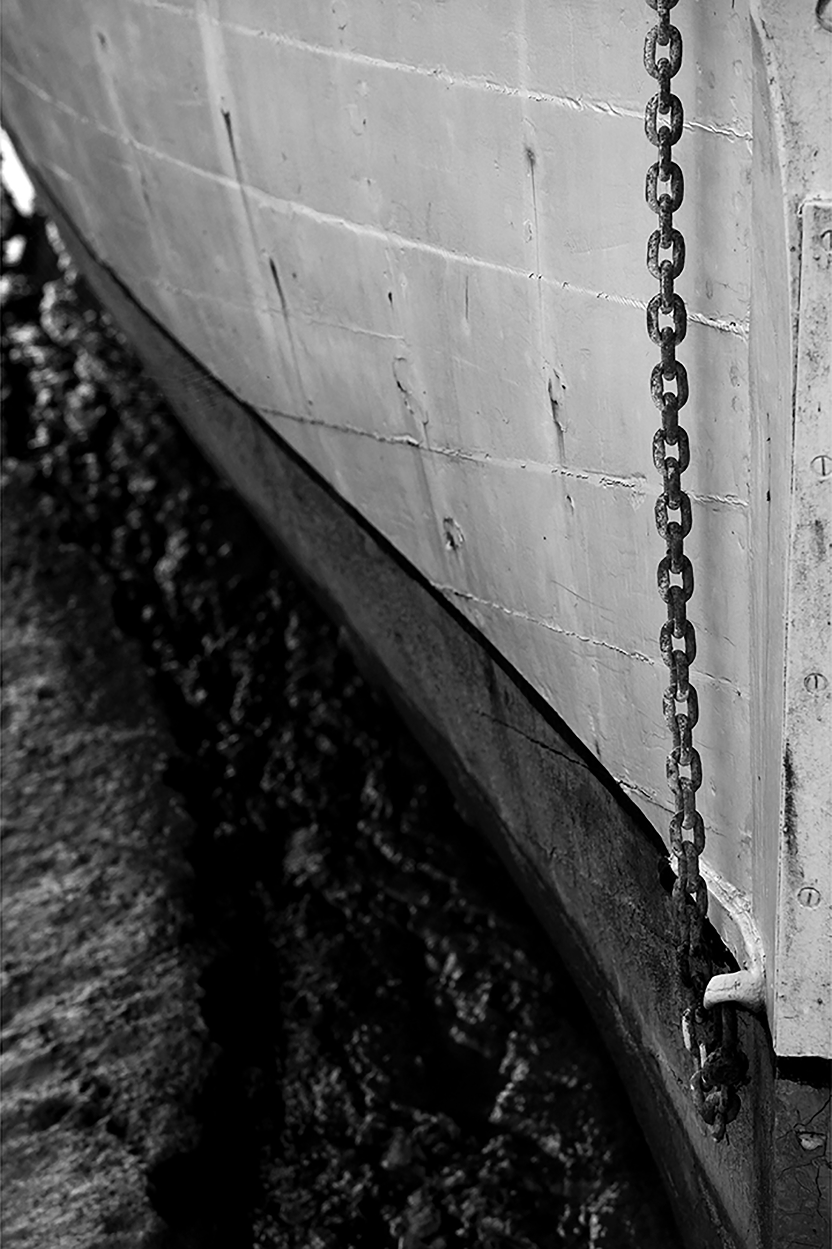 Complementary Curves Richard Hayward Photography